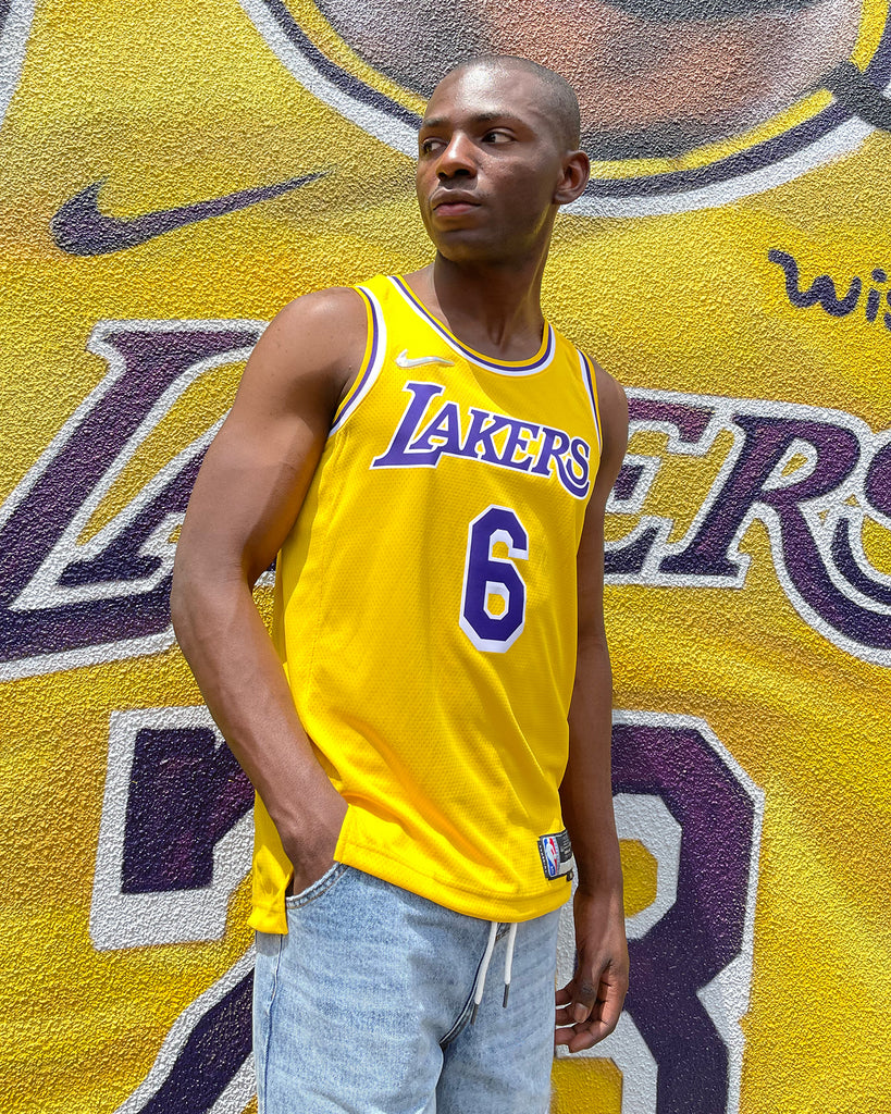 Nike Los Angeles Lakers LeBron James 75th Anniversary #6 Icon Swingman ...